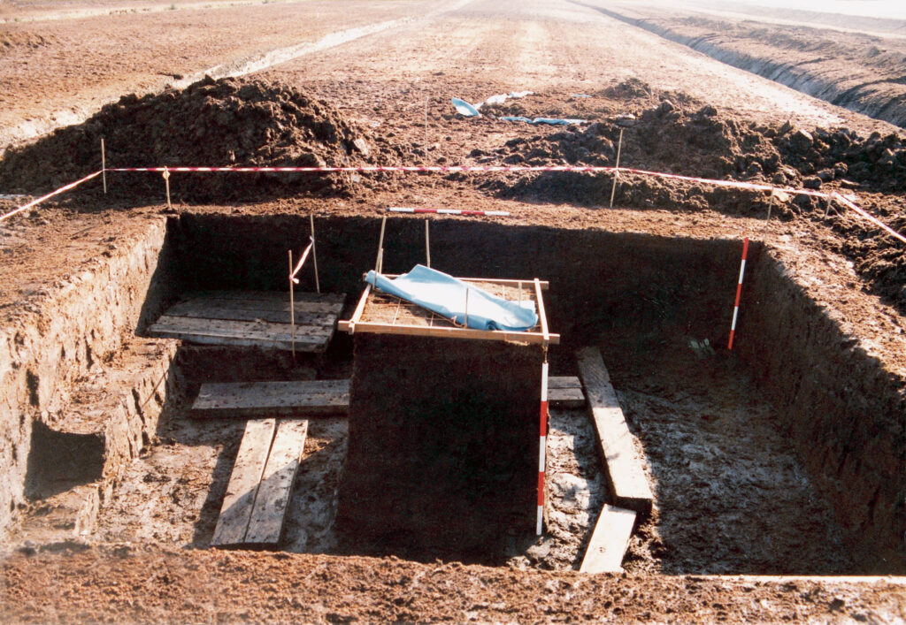 The Dos and Don’ts of Digging a Bog Body - Script Books Blog