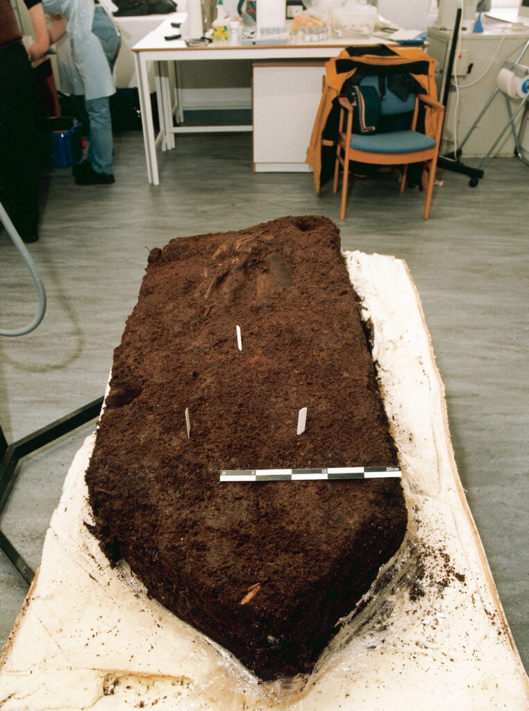 The Dos and Don’ts of Digging a Bog Body - Script Books Blog